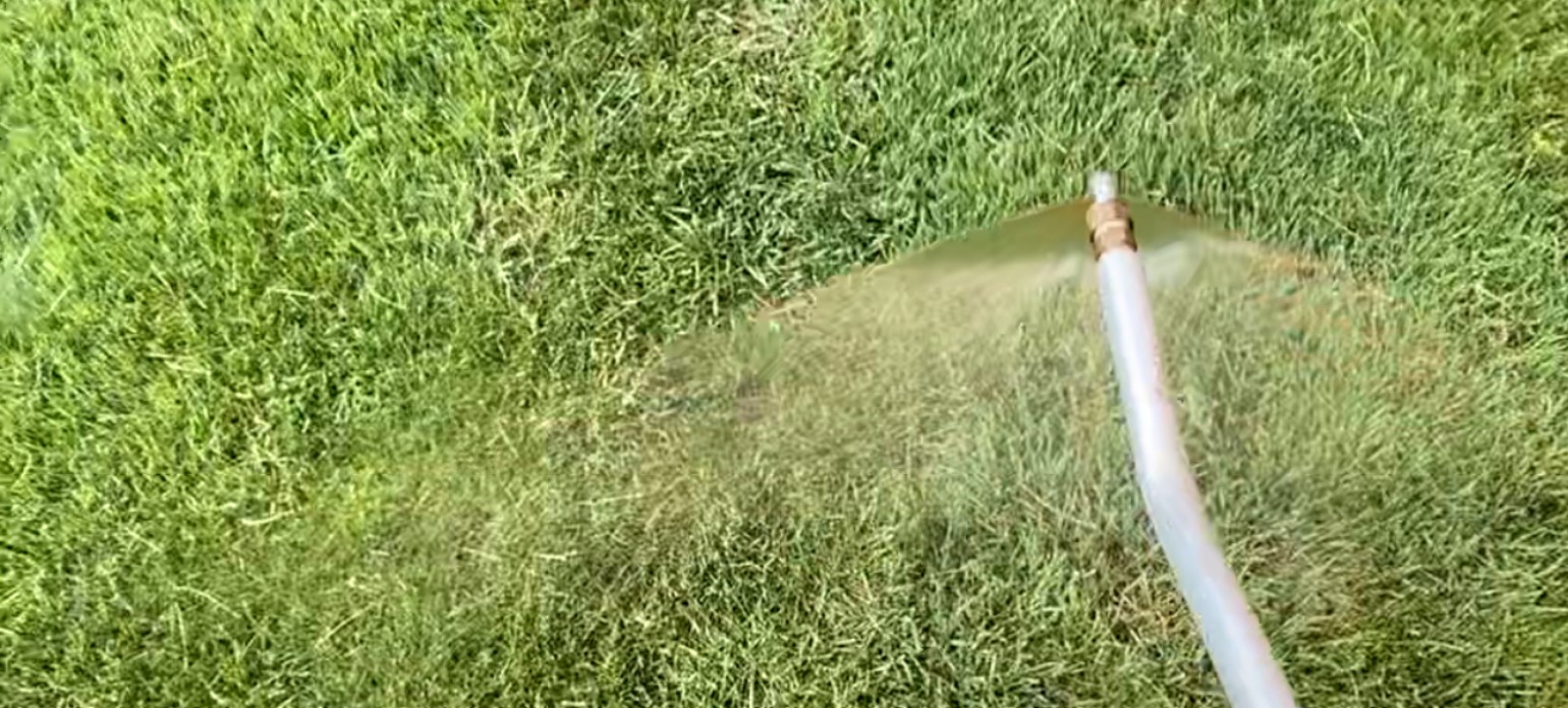 Weed Control – Premier Turf Management