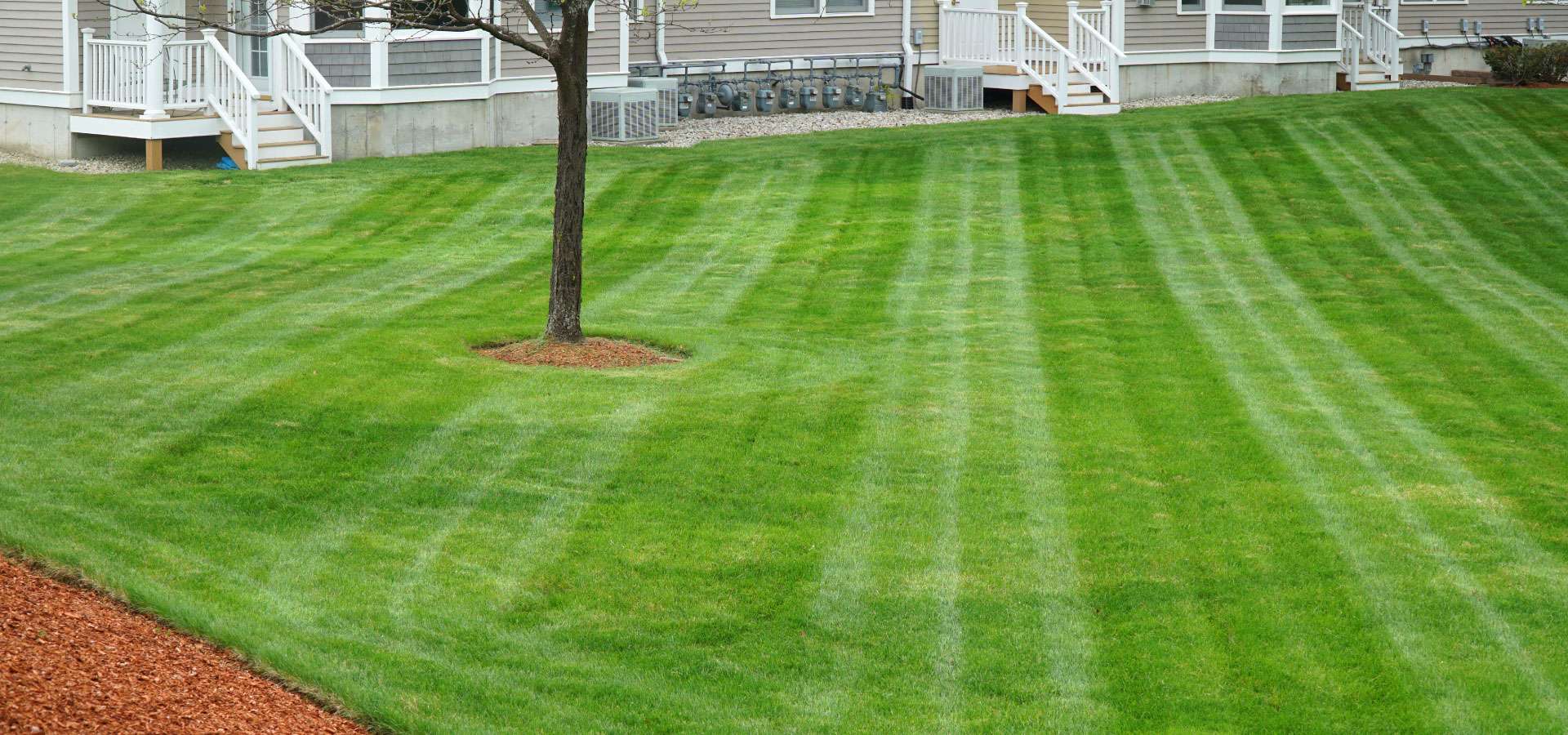 Premier Turf Management – Your Lawn, Your Way!