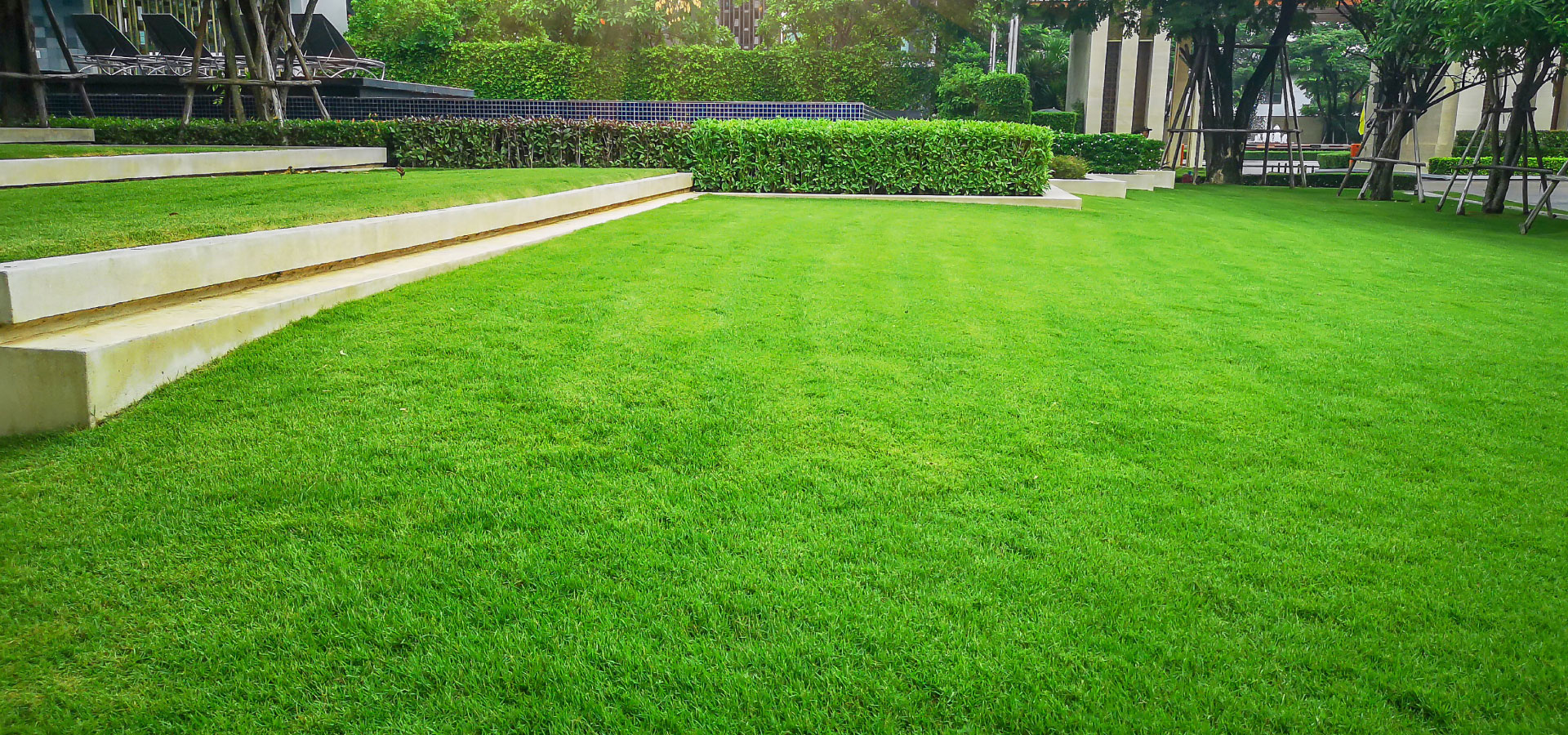 Premier Turf Management – Your Lawn, Your Way!